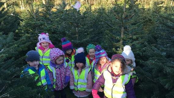 Rogate pre-school children enjoy festive visit to Wyld's Farm in Liss ...