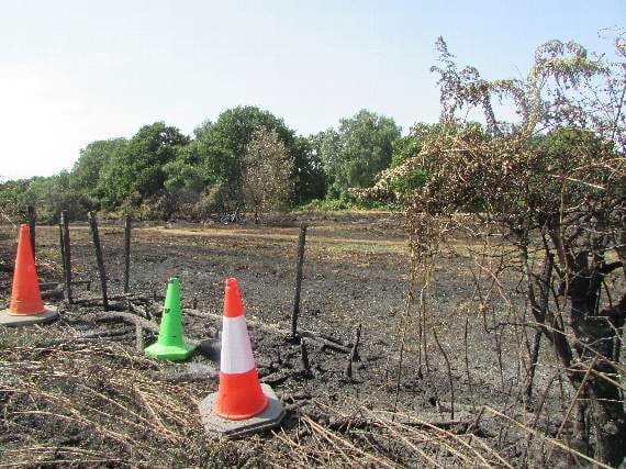 Public urged to take care after latest fire on Petersfield Heath ...
