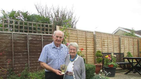 Growing vegetables in Liss for more than 50 years | petersfieldpost.co.uk
