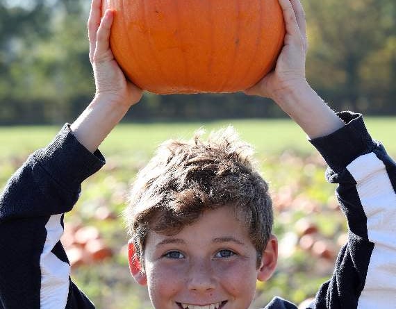Pumpkins galore at popular Rogate event | petersfieldpost.co.uk