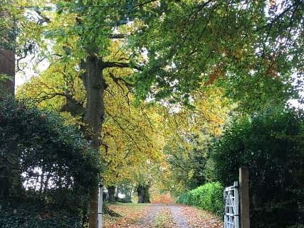 Nikki Barton: Haslemere’s beautiful countryside faces destruction ...