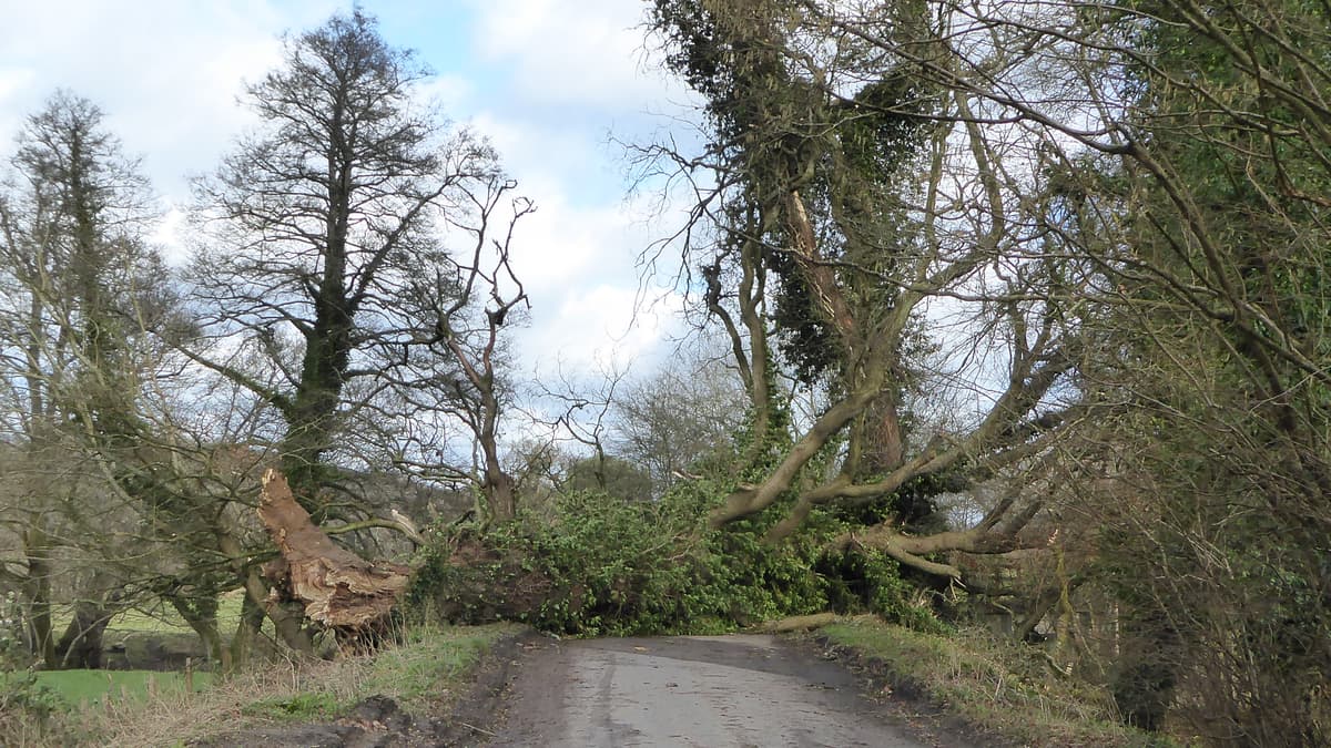 Surrey and Hampshire surveys the damage after Storm Eunice sweeps ...