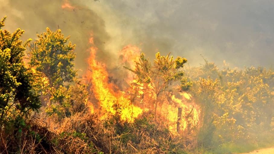 Smoke from Ash Ranges wildfire billows across Farnham and Alton area ...