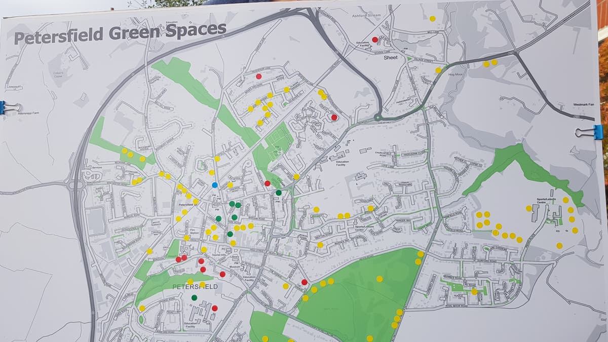 Petersfield residents identify nearly 100 locations for new trees in ...