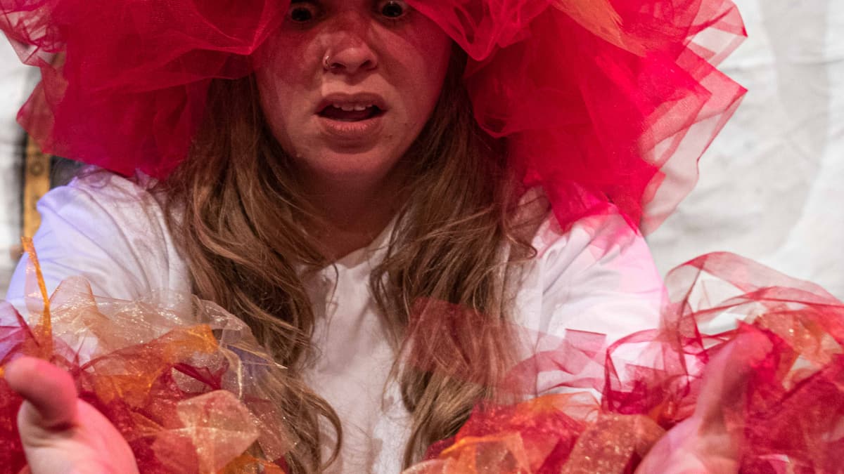 Fun look into world of opera at Phoenix Theatre in Bordon ...