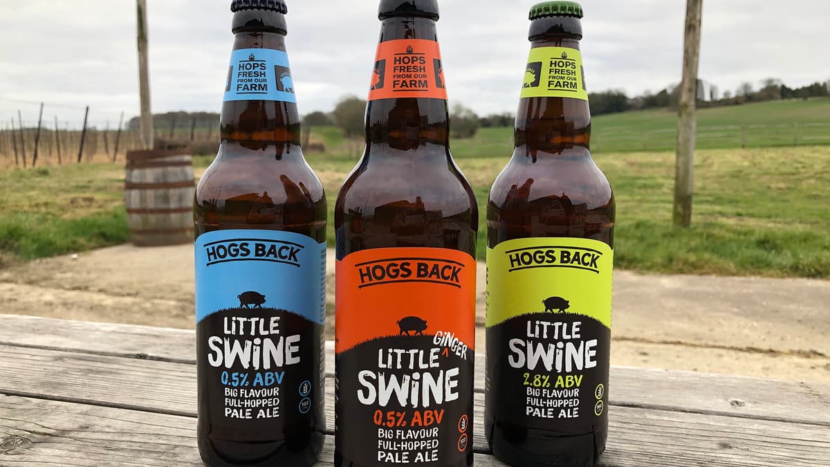 Hogs Back Brewery launches ginger-flavoured craft ale Little Ginger ...