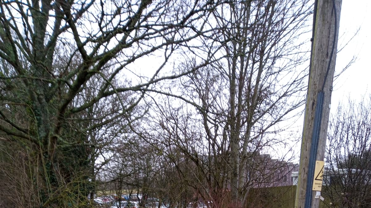 Motorist blames knocked-over sign for driving wrong way on A31 at Alton ...