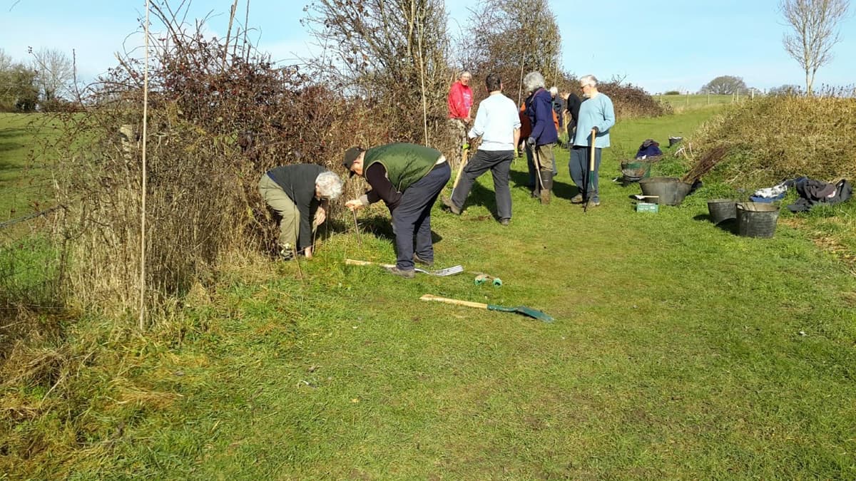 Two new hedgerows planted by Alton Climate Action Network volunteers ...