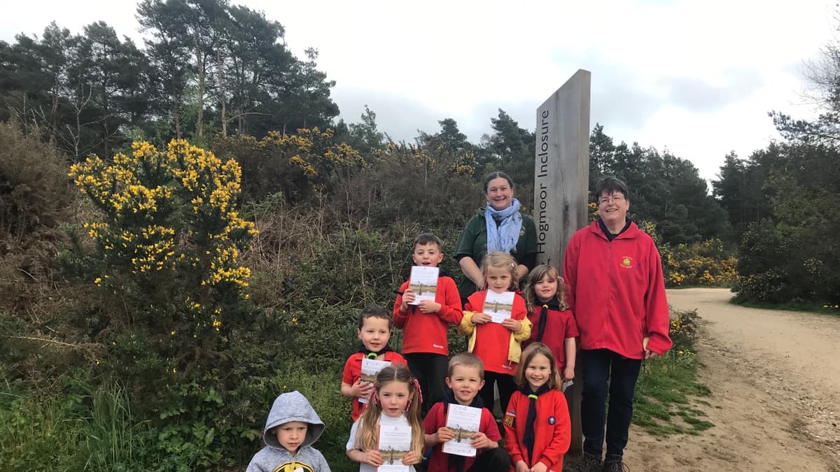 Discover history of Hogmoor Inclosure in Bordon through brass rubbing ...