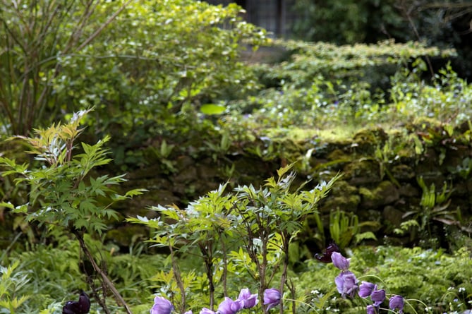 Home of pioneering garden designer Gertrude Jekyll bought by National ...