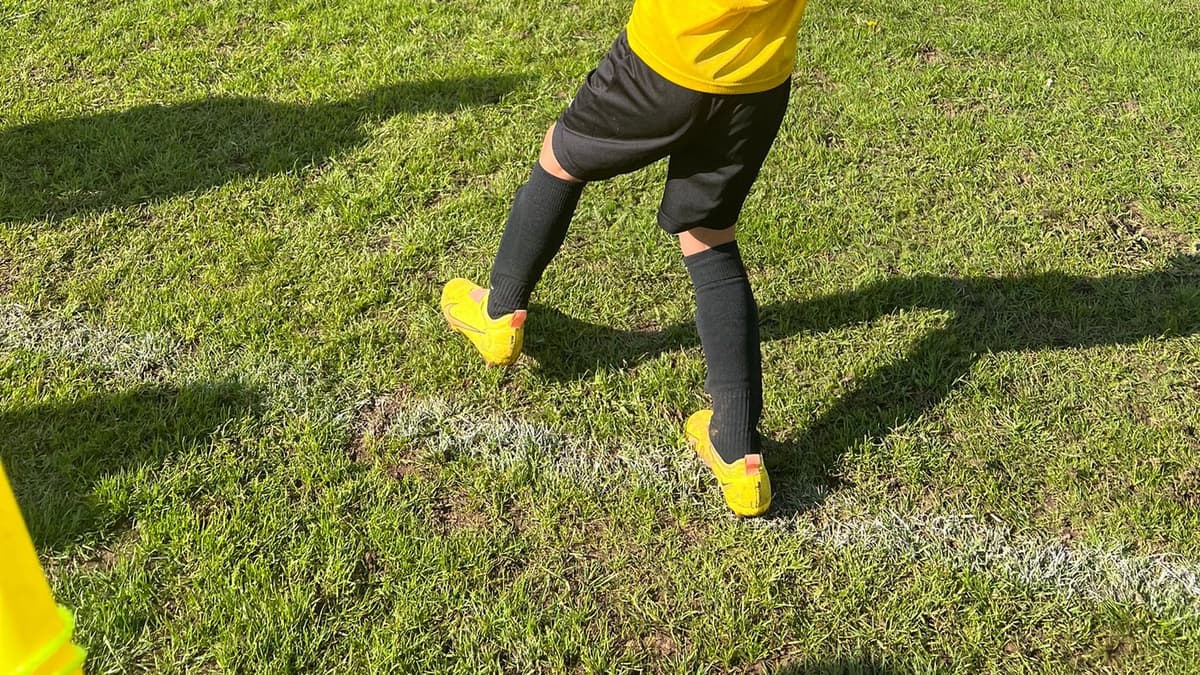 Headley Playing Fields pitches plan causes environmental controversy ...