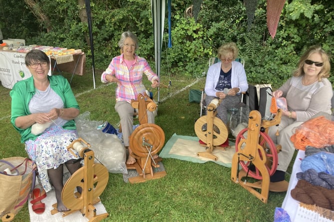 Fun day returns to Liss Forest park after four-year absence ...