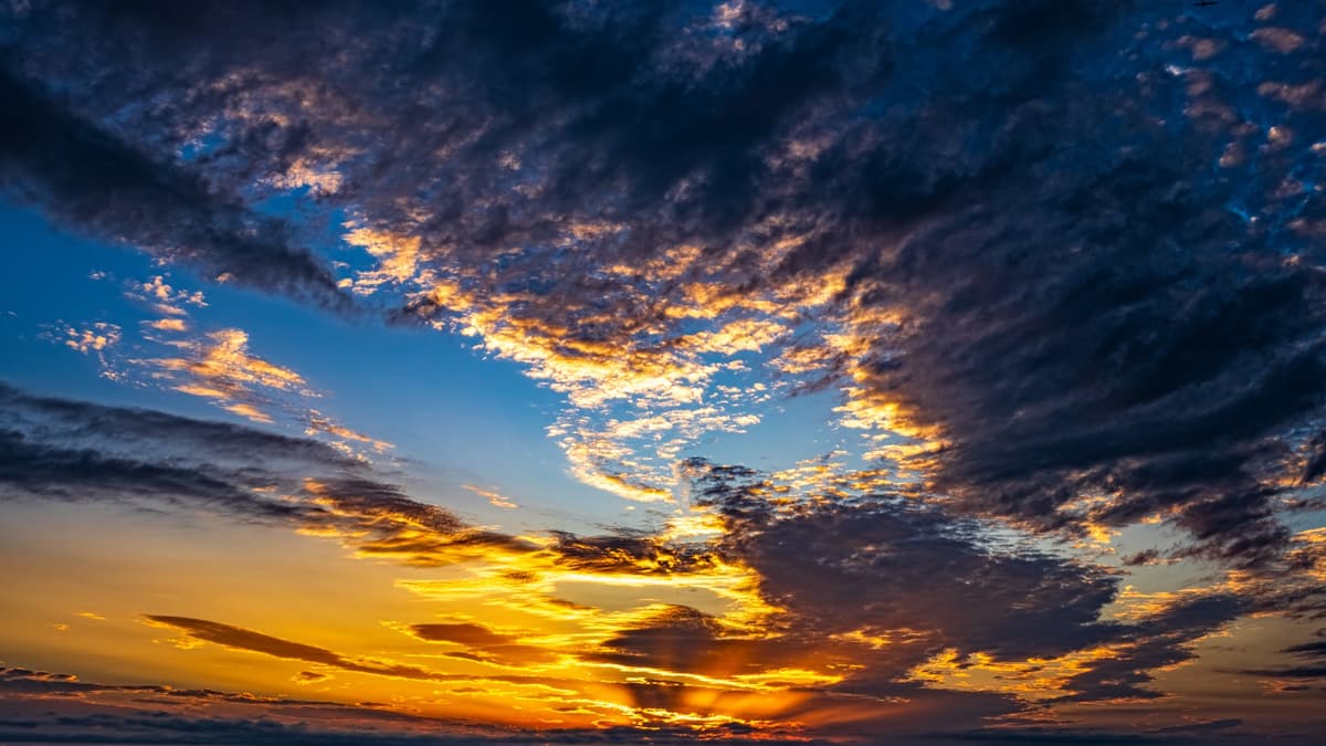 Blackdown captured in photo perfection by local photographer ...
