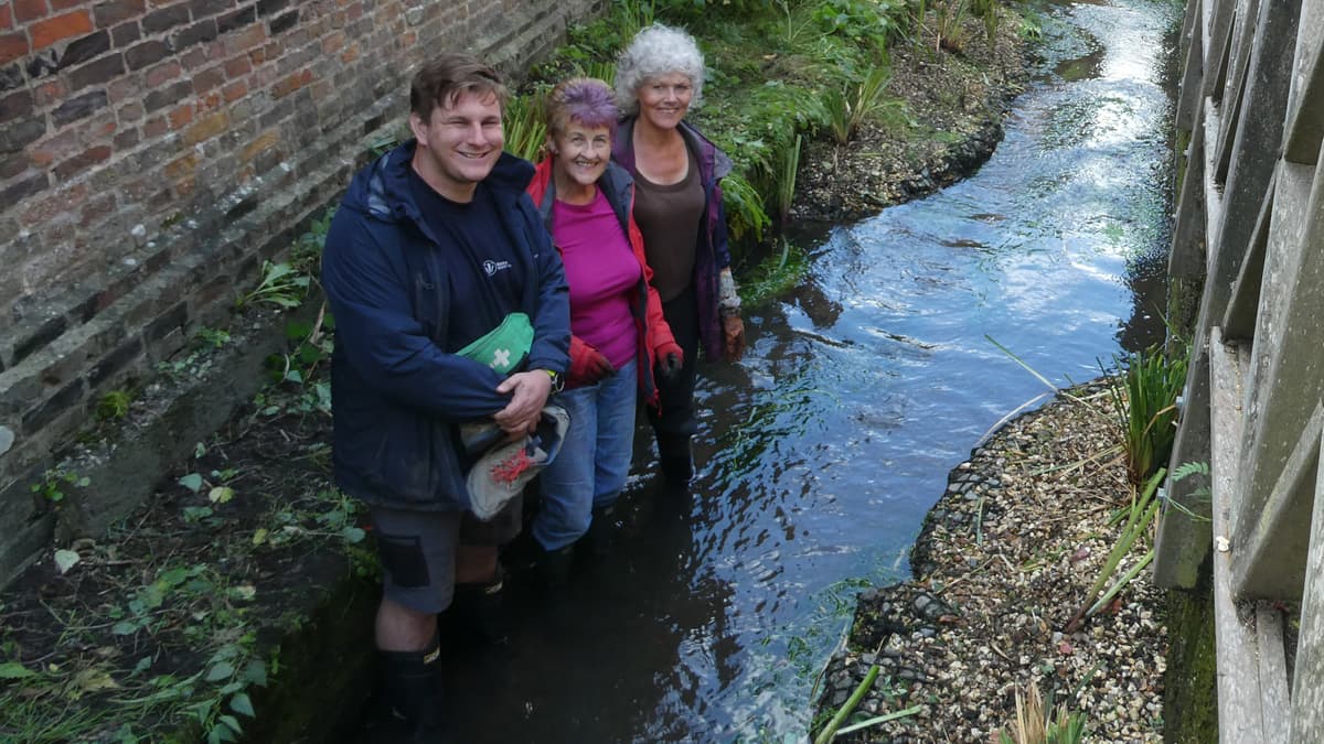 Alton sees fish return to urban section of River Wey | petersfieldpost ...