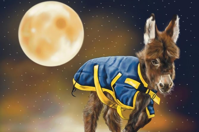 Story of stolen donkey foal Moon of Miller's Ark turned into picture ...
