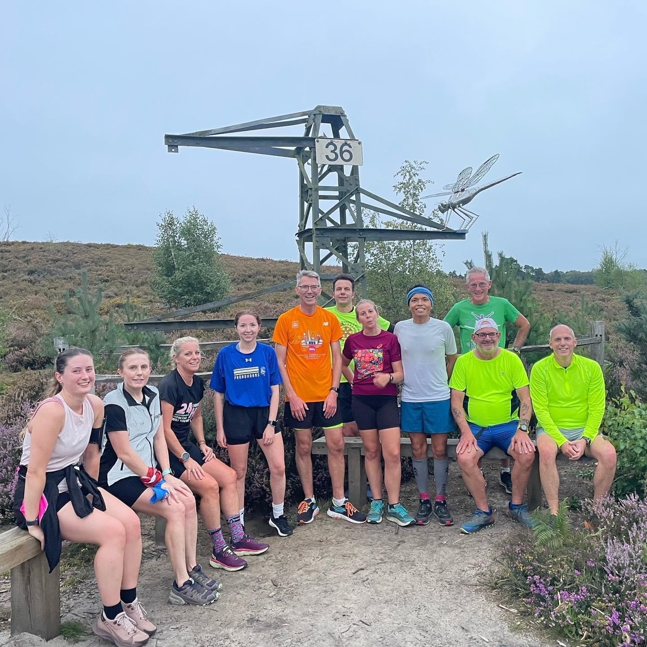 Tremendous achievements for Haslemere Border runners in Yateley series ...