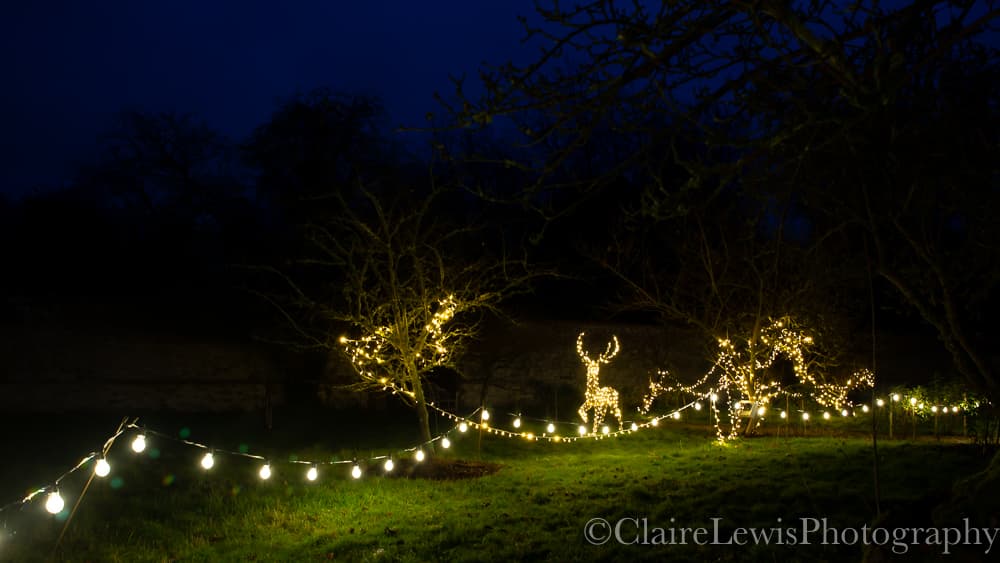 Twinkling festive fun awaits at Chawton House this Christmas ...