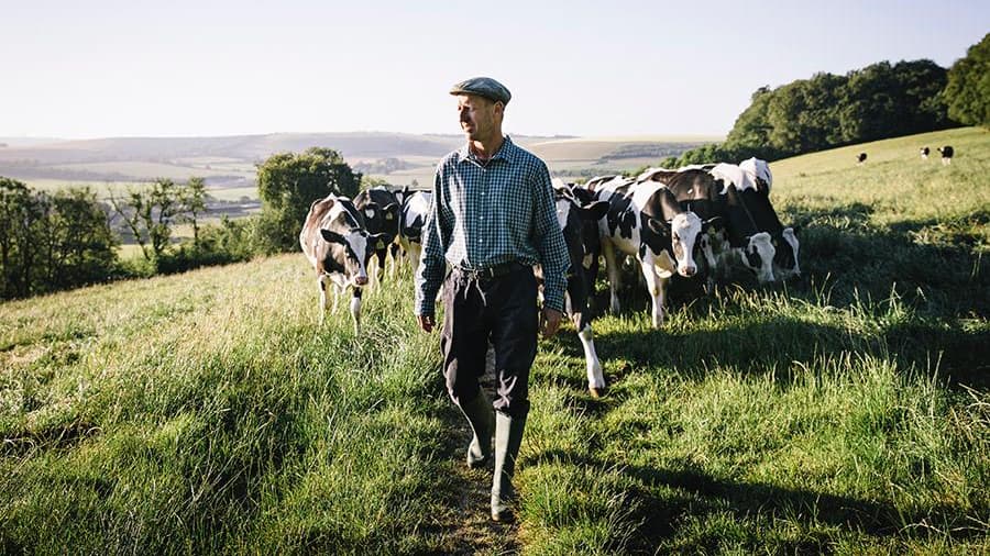 Pair's green vision to make East Meon farm a regenerative UK leader ...