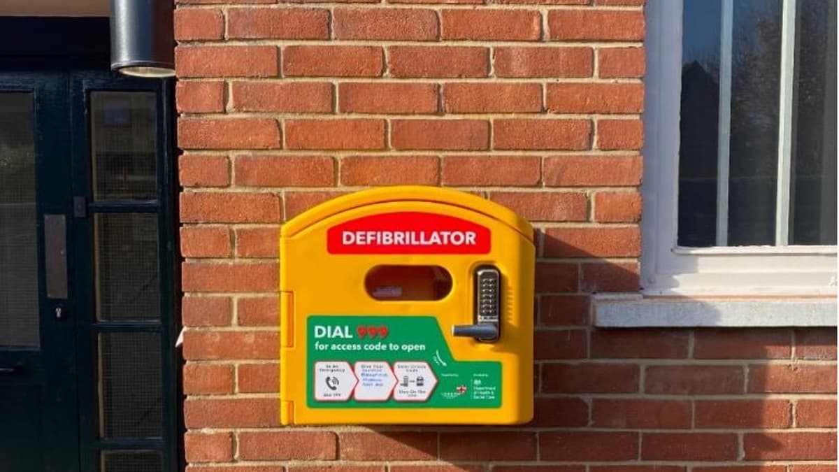 Petersfield Museum & Art Gallery installation could be most important ...