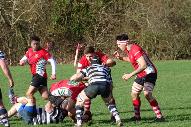 Seventeen matches without defeat as Petersfield rugby club march on ...