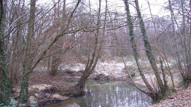 Petersfield-area volunteers needed to test the water quality of Rother ...