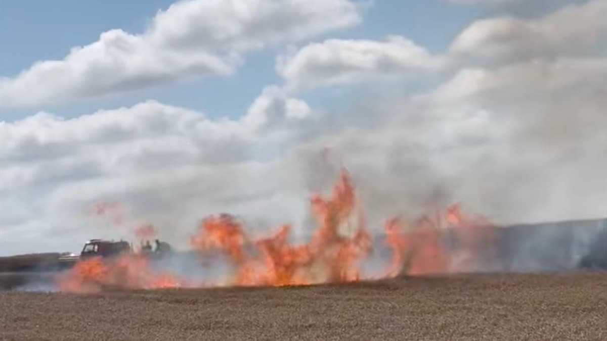 Fields of fire as crews battle blaze at Medstead farm | petersfieldpost ...