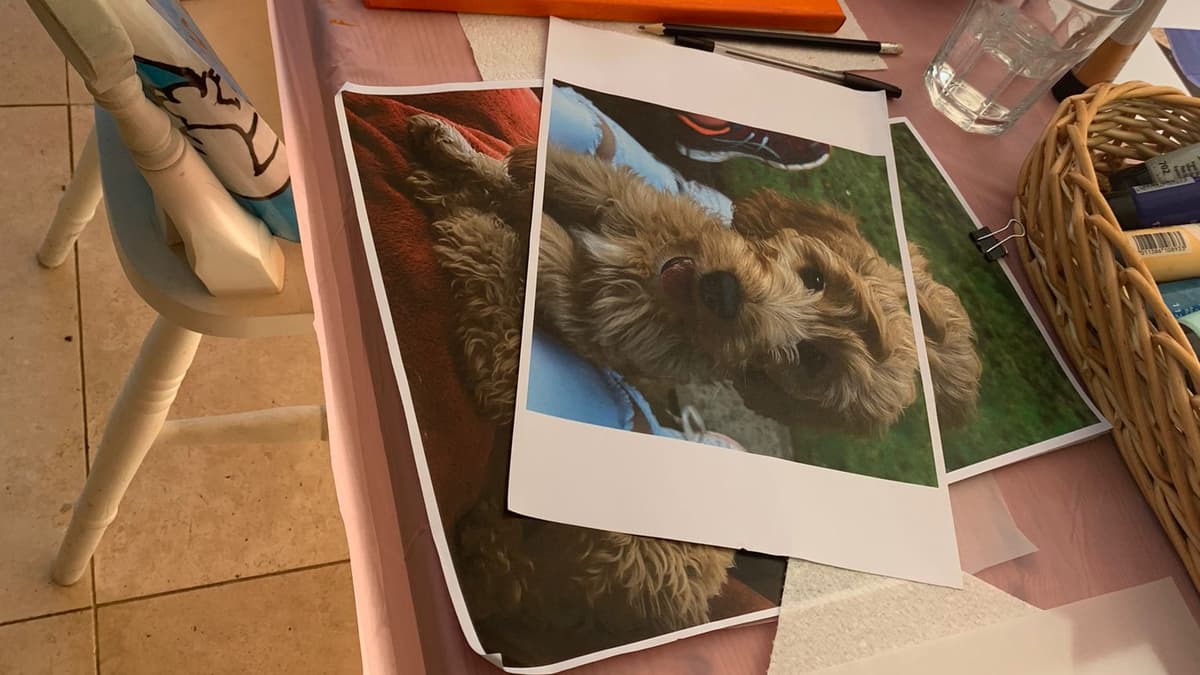 Learn how to paint an artwork of your canine companion with Pup Goes ...