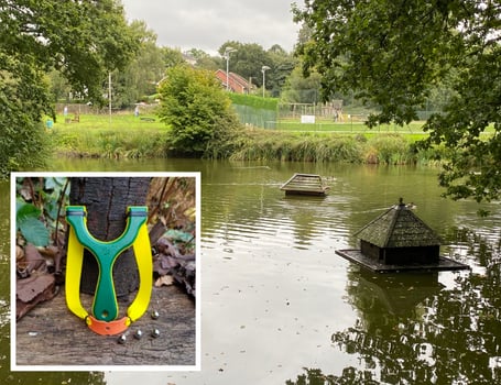 Catapult concerns as ducks found dead at Liss pond | petersfieldpost.co.uk