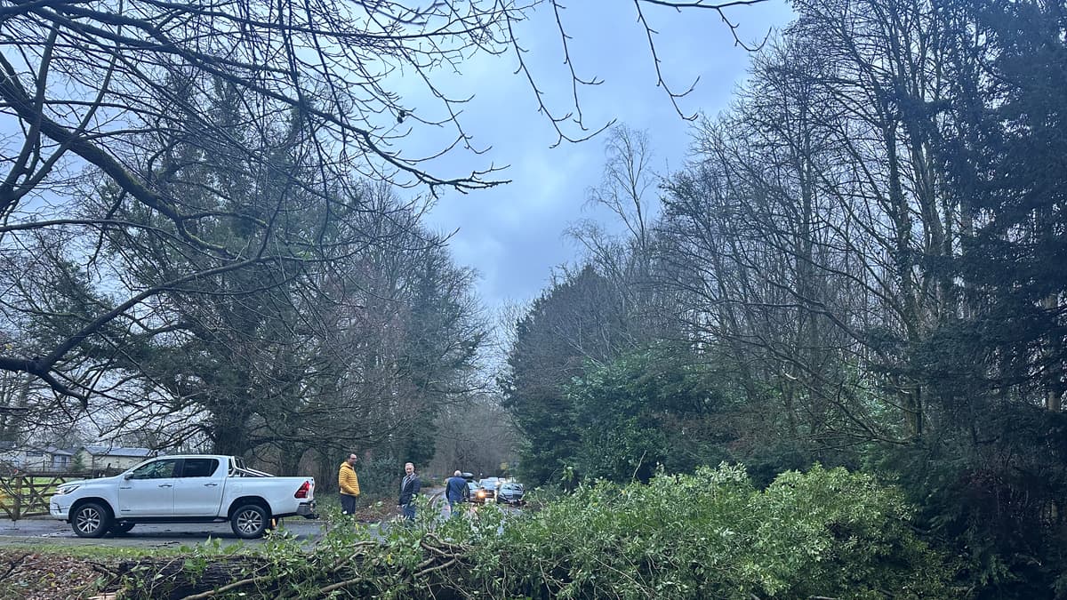 DAY TWO: Live Storm Darragh updates from Herald & Post area ...