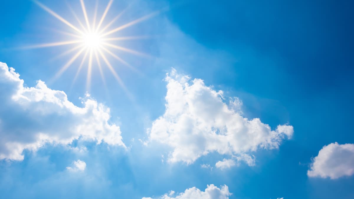 Petersfield weather forecast: Sunny day, clear night, mild tomorrow ...