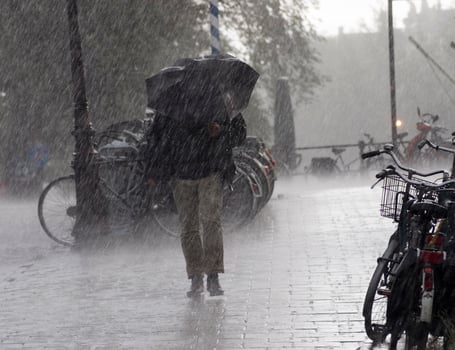 Petersfield weather forecast: Heavy rain today, patchy rain tomorrow ...