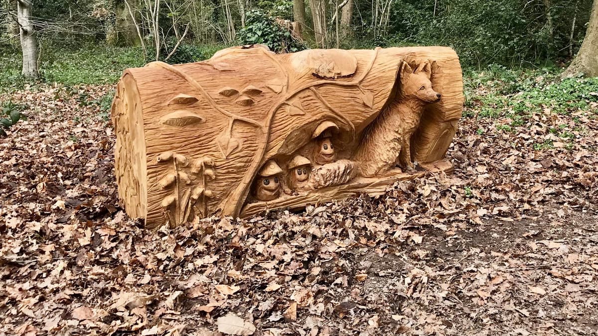 Hidden art: Discover wooden sculptures along Catherington Lith walk ...