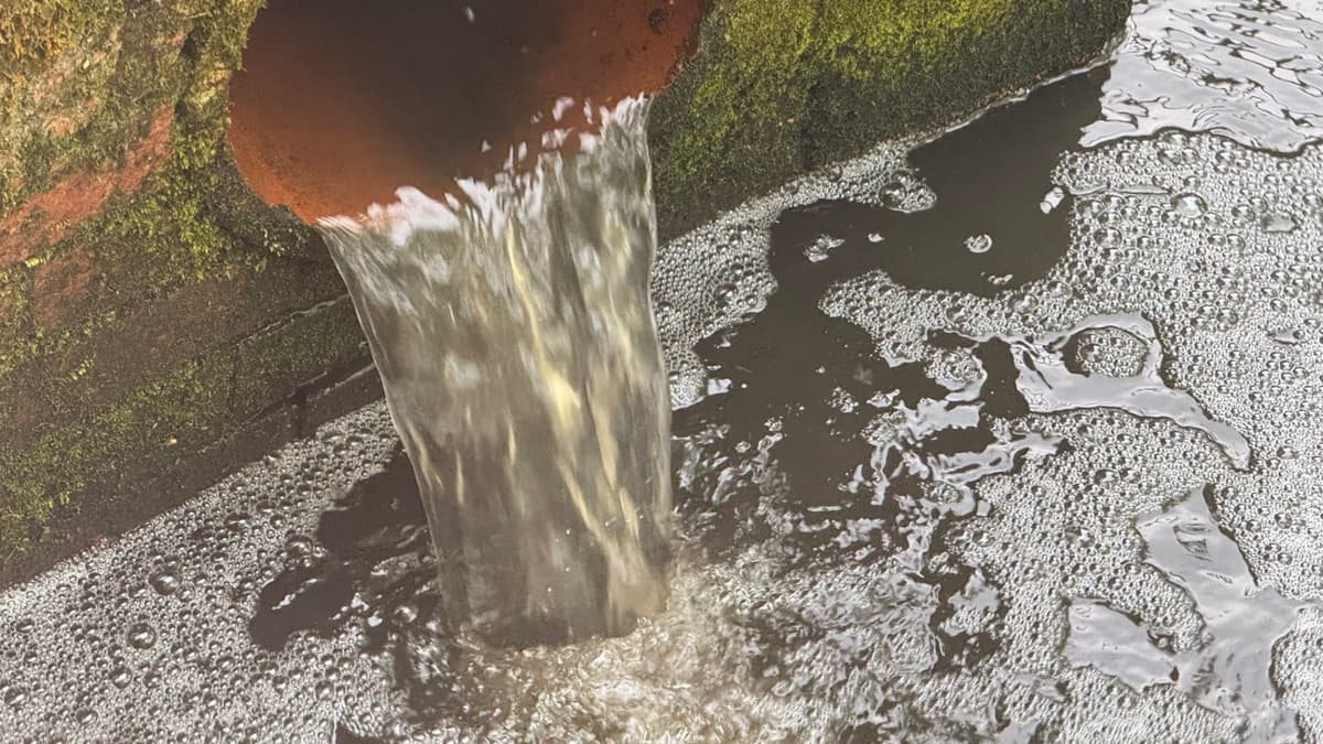 Your letters to the editor: Sea change for our rivers and coasts ...