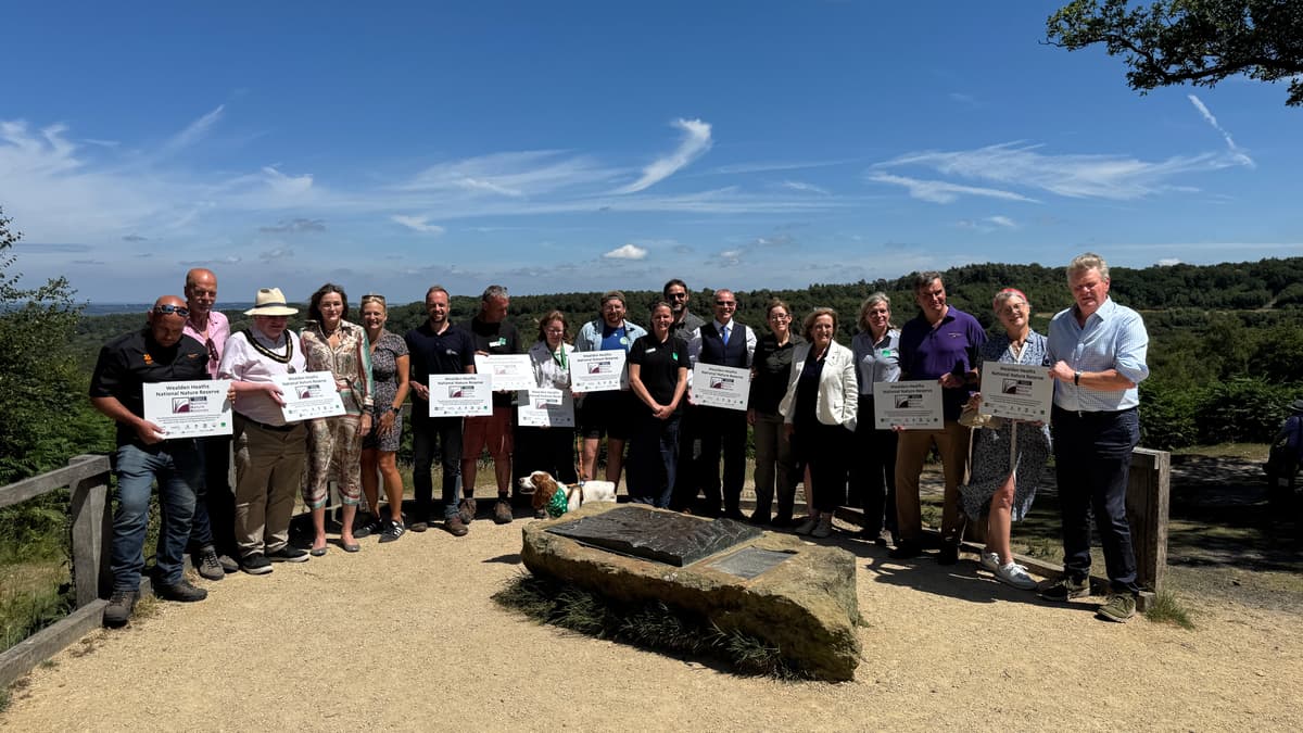 Wealden Heaths crowned New National Nature Reserve in landmark ...