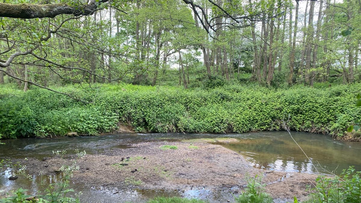 Nature reserve near Petersfield to get £350k of environmental and ...