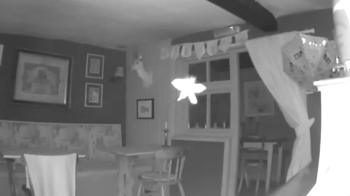 WATCH: Paranormal investigators in Hampshire pub capture 'fairy' on ...