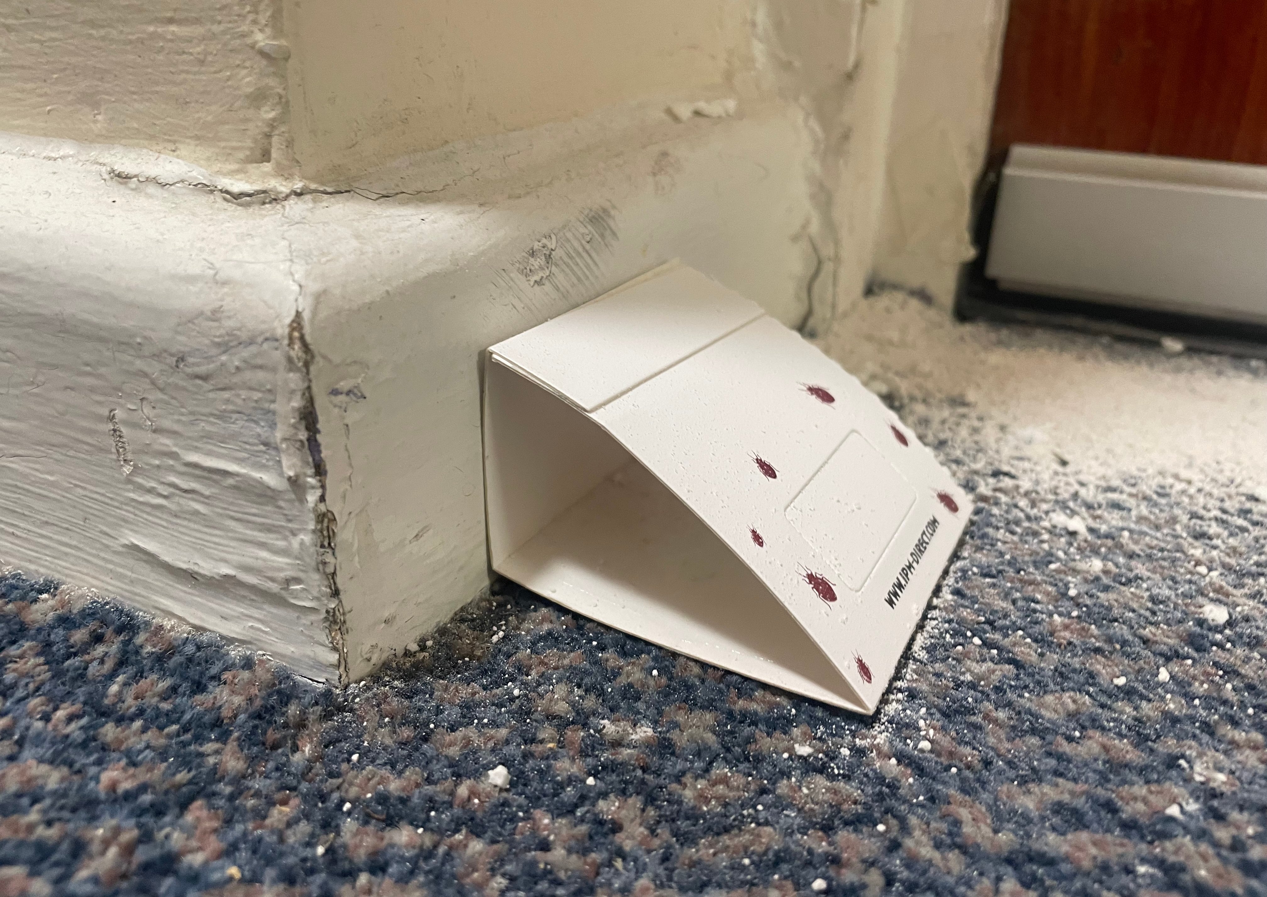 Sheltered housing residents trapped in bed bug ‘nightmare’ | petersfieldpost.co.uk