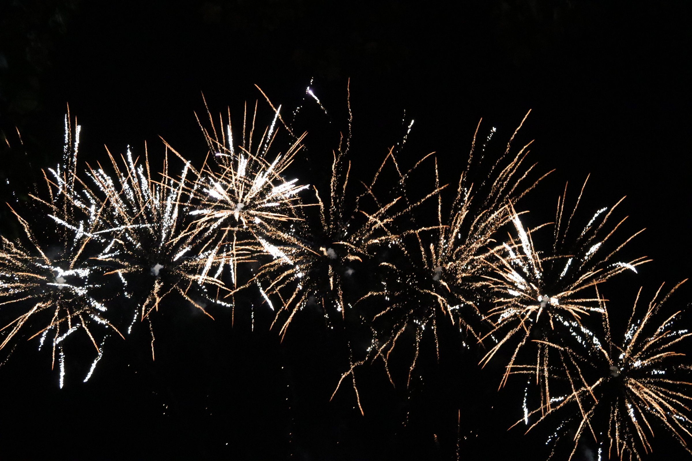 Liphook Carnival 2025: A celebration of community spirit ...