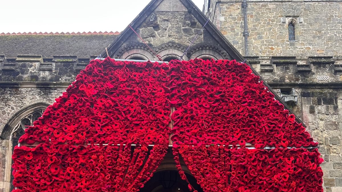 VIDEO Wool you have a look at this? Pride in Petersfield Poppy Project ...