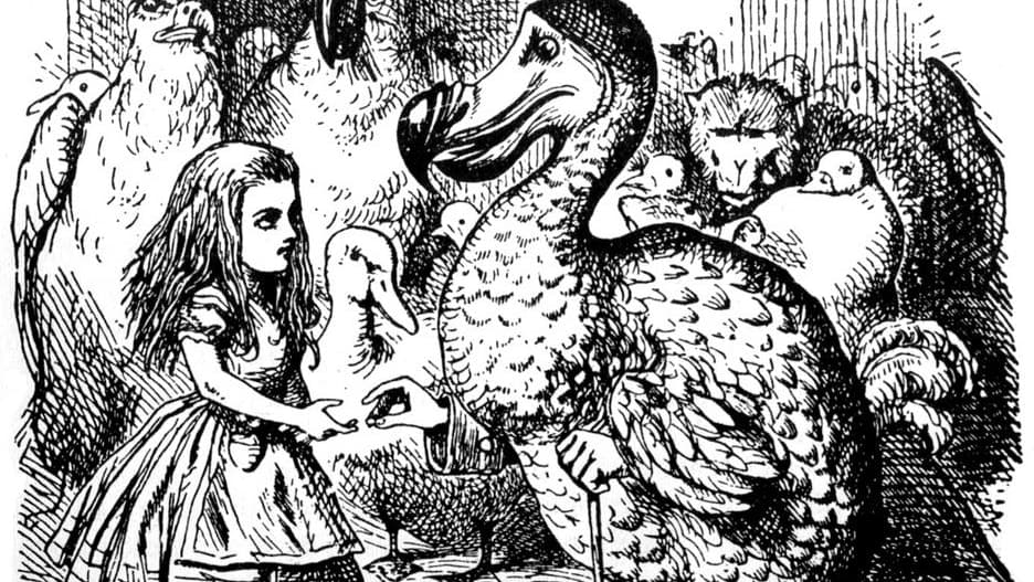 Peeps into the Past: Down the rabbit hole and onto Haslemere ...