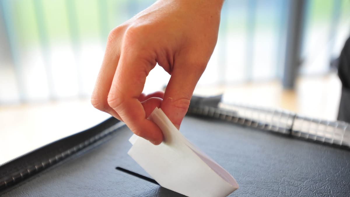 Hampshire County Council elections to go ahead | petersfieldpost.co.uk