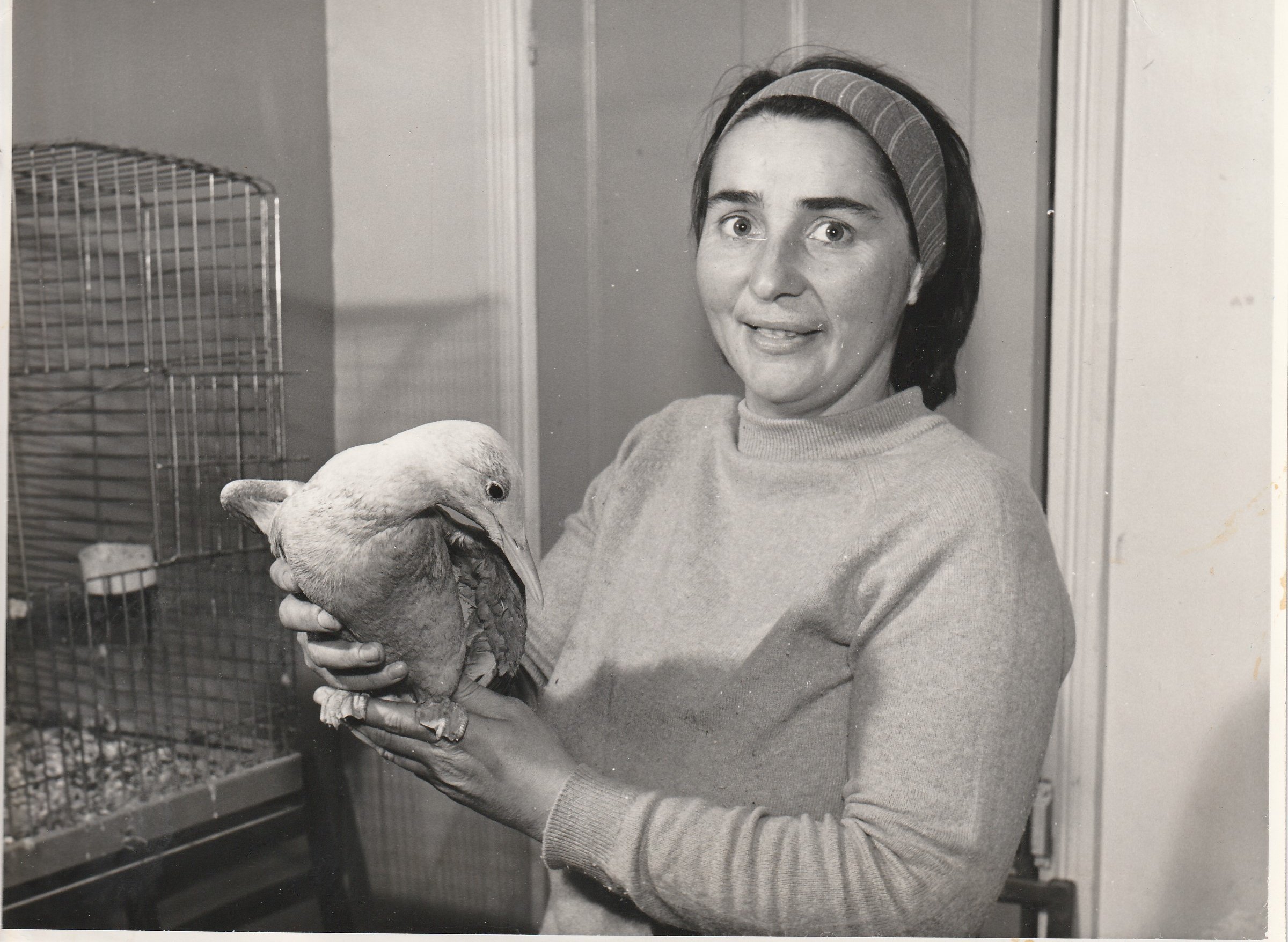 Remembering East Hampshire wildlife enthusiast Molly Burkett MBE ...